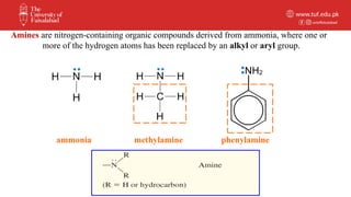 Amines (1).of chemistry of pharmacy pptx | PPT