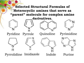 amines 2.pdf