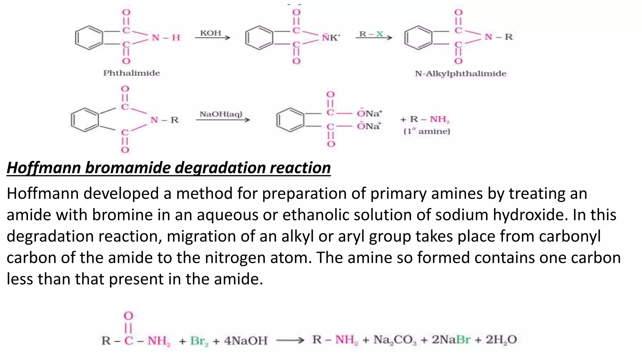Amines class 12 ppt CBSE | PPTX