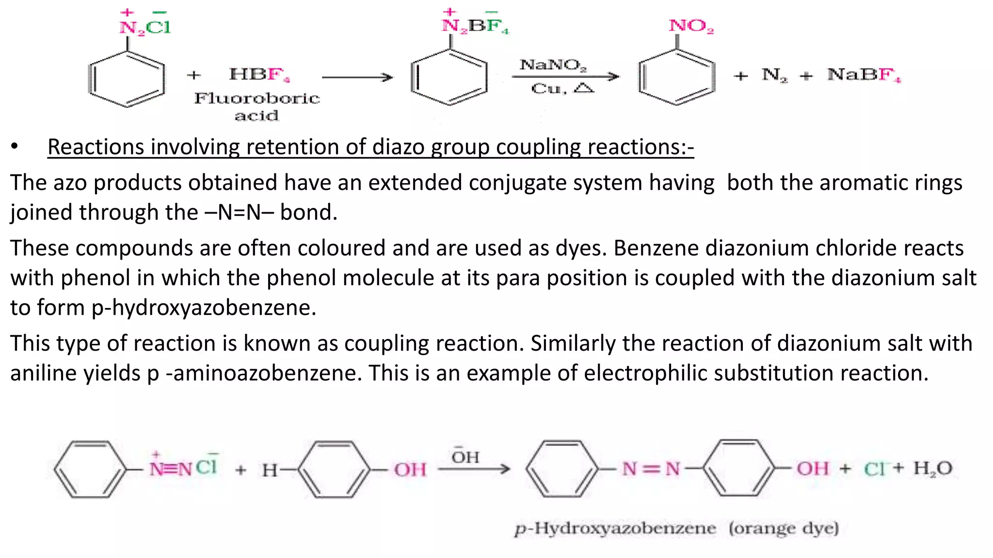 Amines class 12 ppt CBSE | PPTX