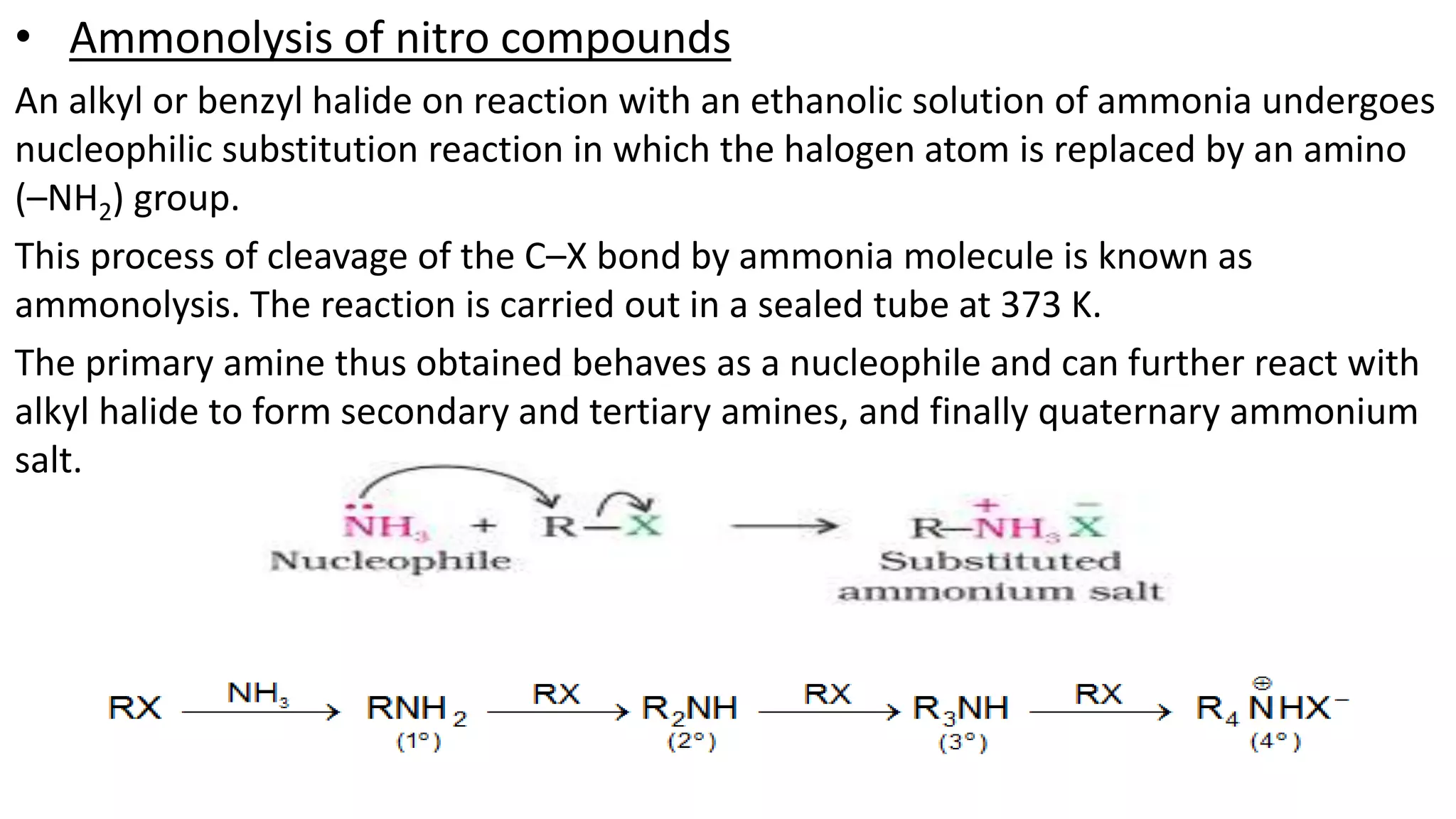 Amines class 12 ppt CBSE | PPTX