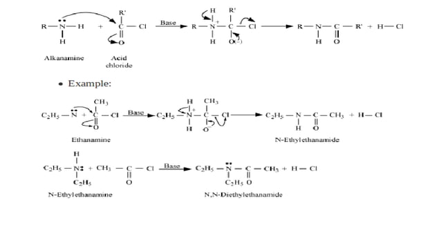 Amines class 12 ppt CBSE | PPTX | Chemistry | Science