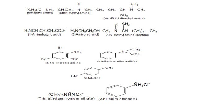 Amines class 12 ppt CBSE | PPTX | Chemistry | Science