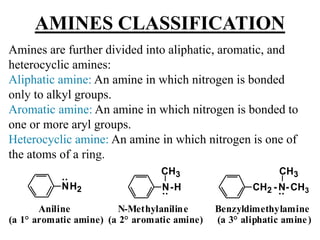 Amines Examples