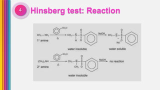 Amines fy b. pharmacy pci | PPSX