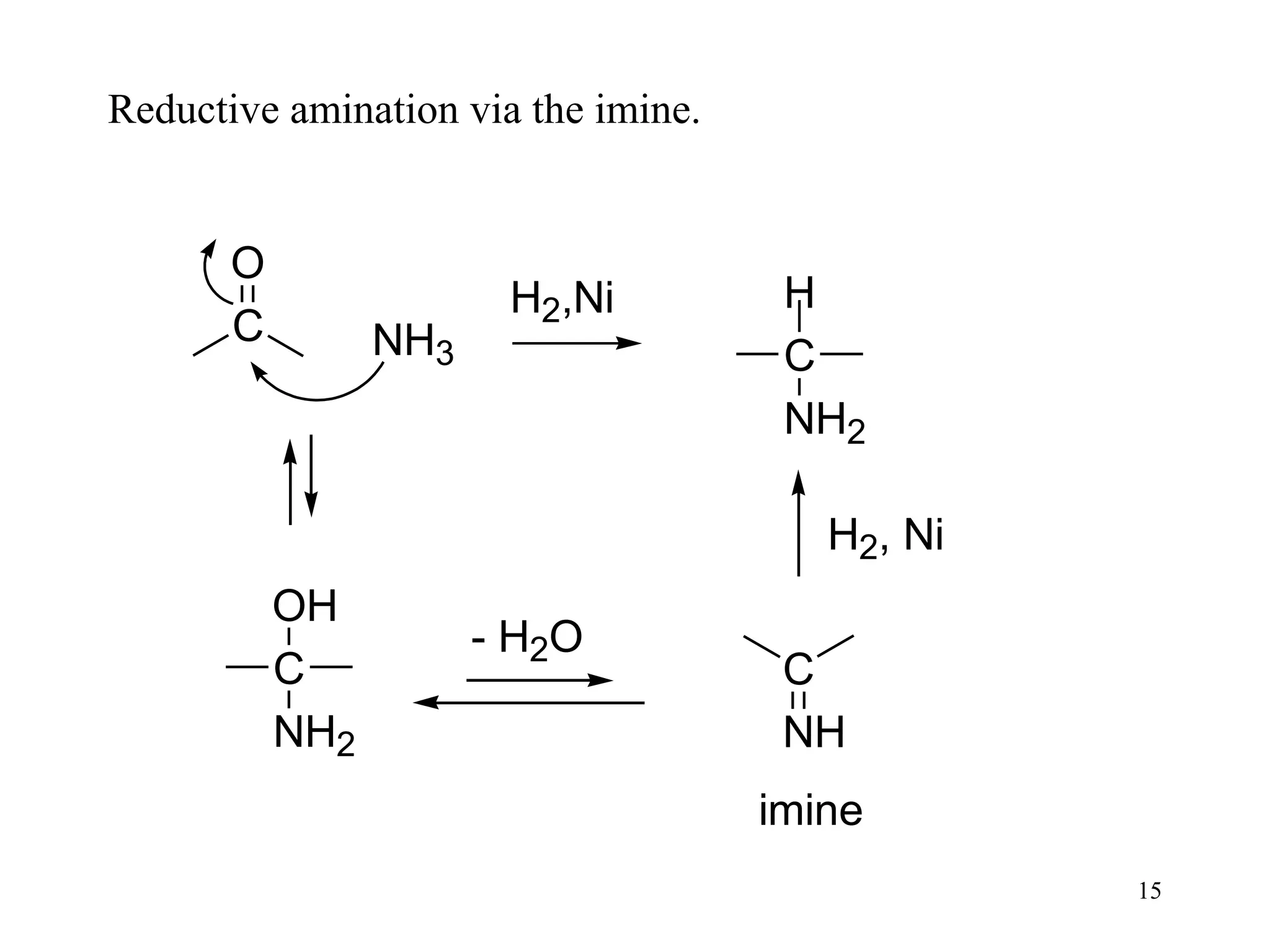 Amines and Reactions | PPT