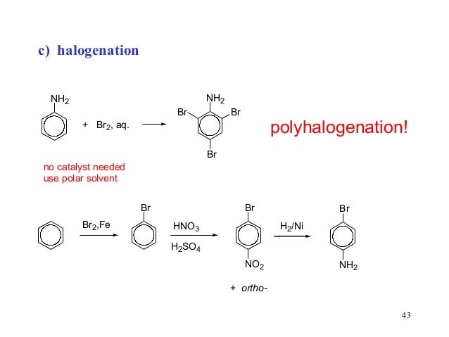 Amines and Reactions