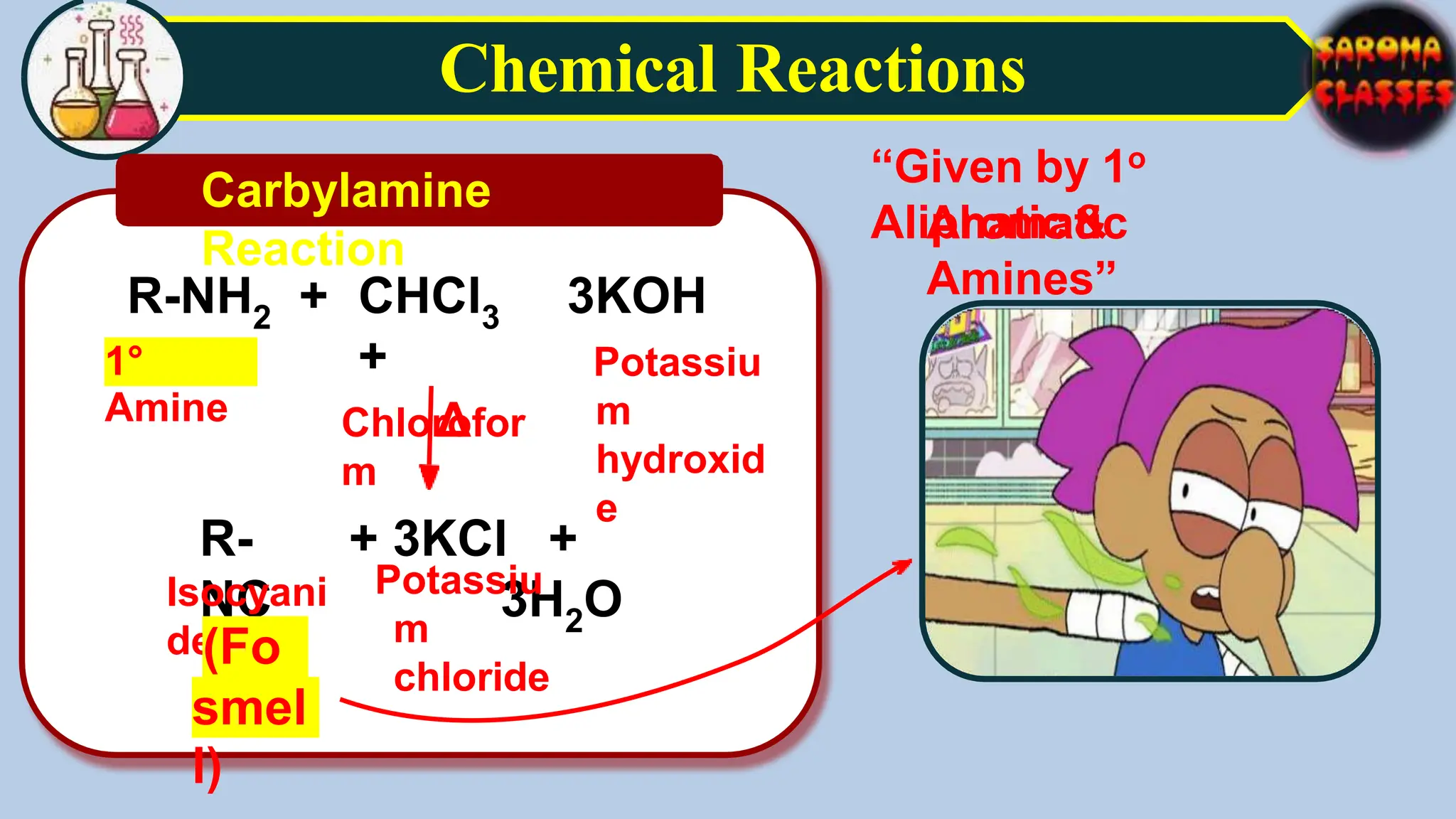 AMINES NOTES BY SAROHA CLASSES class 12th.pptx