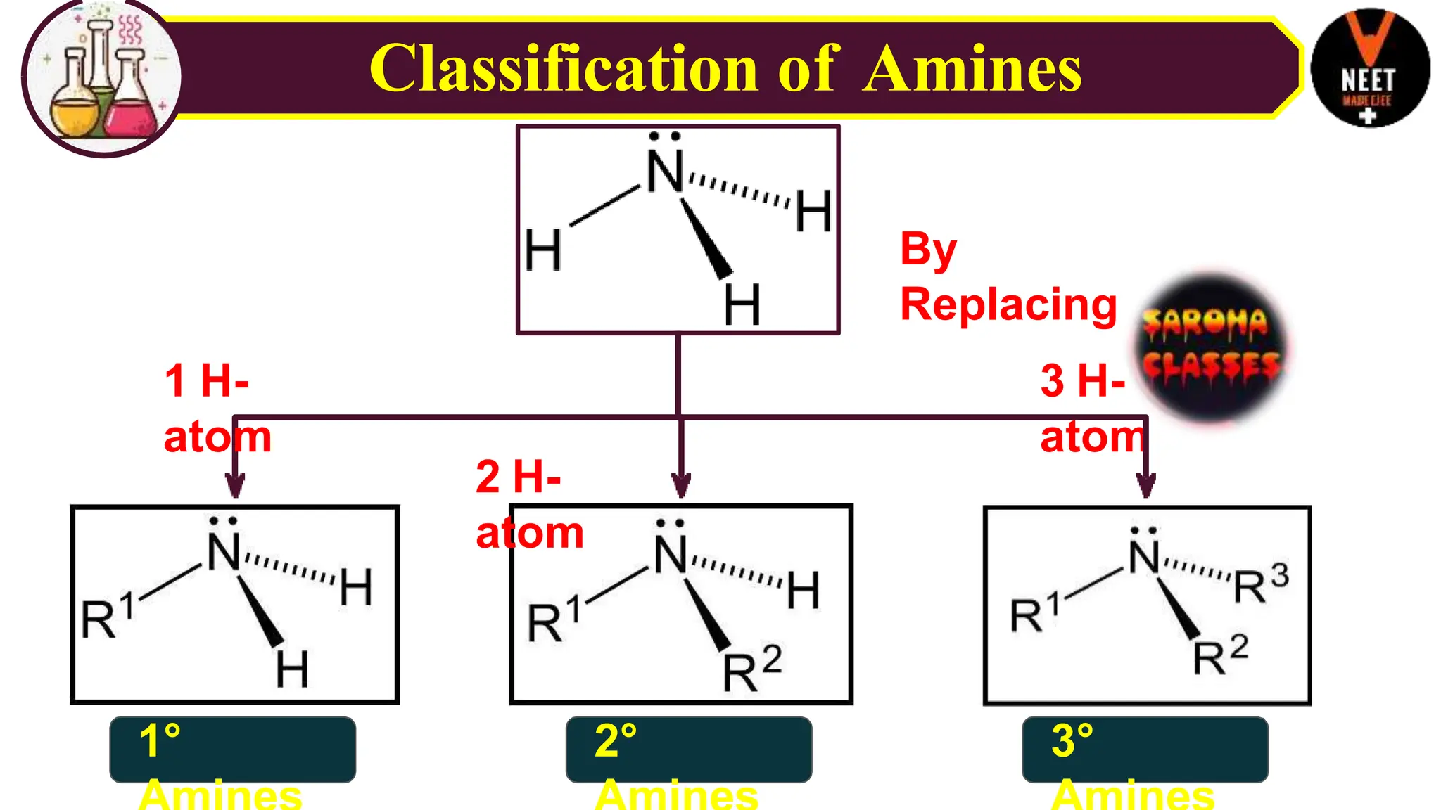 AMINES NOTES BY SAROHA CLASSES class 12th.pptx