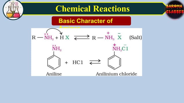AMINES NOTES BY SAROHA CLASSES class 12th.pptx