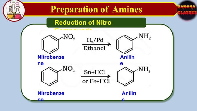 AMINES NOTES BY SAROHA CLASSES class 12th.pptx