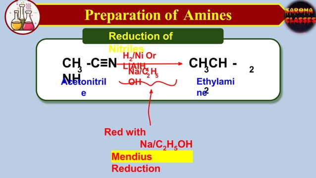 AMINES NOTES BY SAROHA CLASSES class 12th.pptx