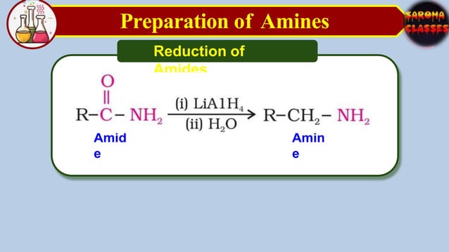 AMINES NOTES BY SAROHA CLASSES class 12th.pptx