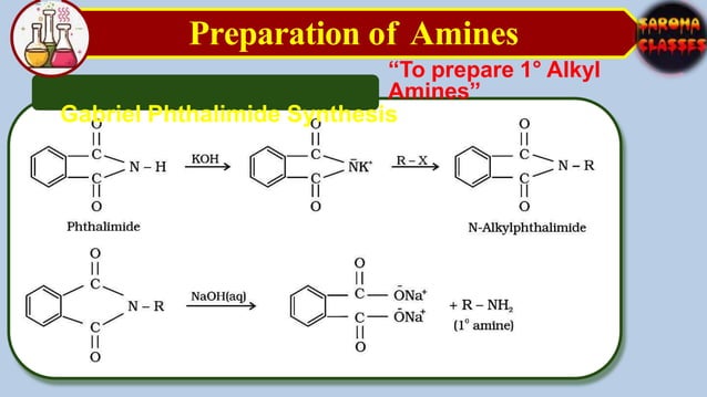 AMINES NOTES BY SAROHA CLASSES class 12th.pptx