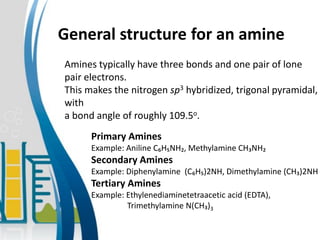 Amines PPT.pdf | Chemistry | Science