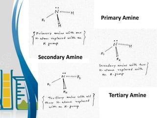 Amines PPT.pdf | Chemistry | Science