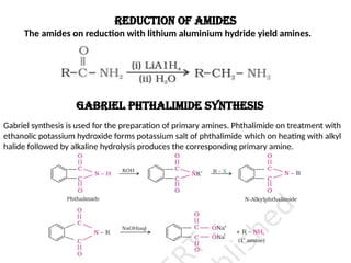 amines_ppt[1].ppt c | PPTX