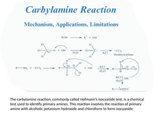 amines_ppt[1].ppt c | PPTX