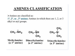 amines_ppt[1].ppt c | PPTX