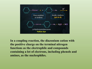 amines_ppt[1].ppt c | PPTX