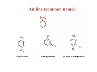 amines_ppt[1].ppt c | PPTX
