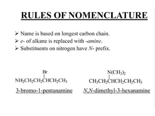 amines_ppt[1].ppt c | PPTX