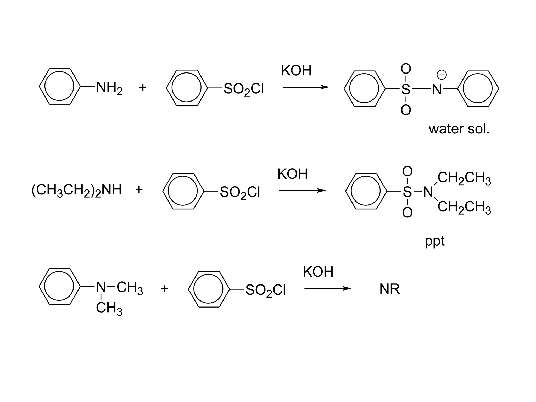 amines reactions.ppt