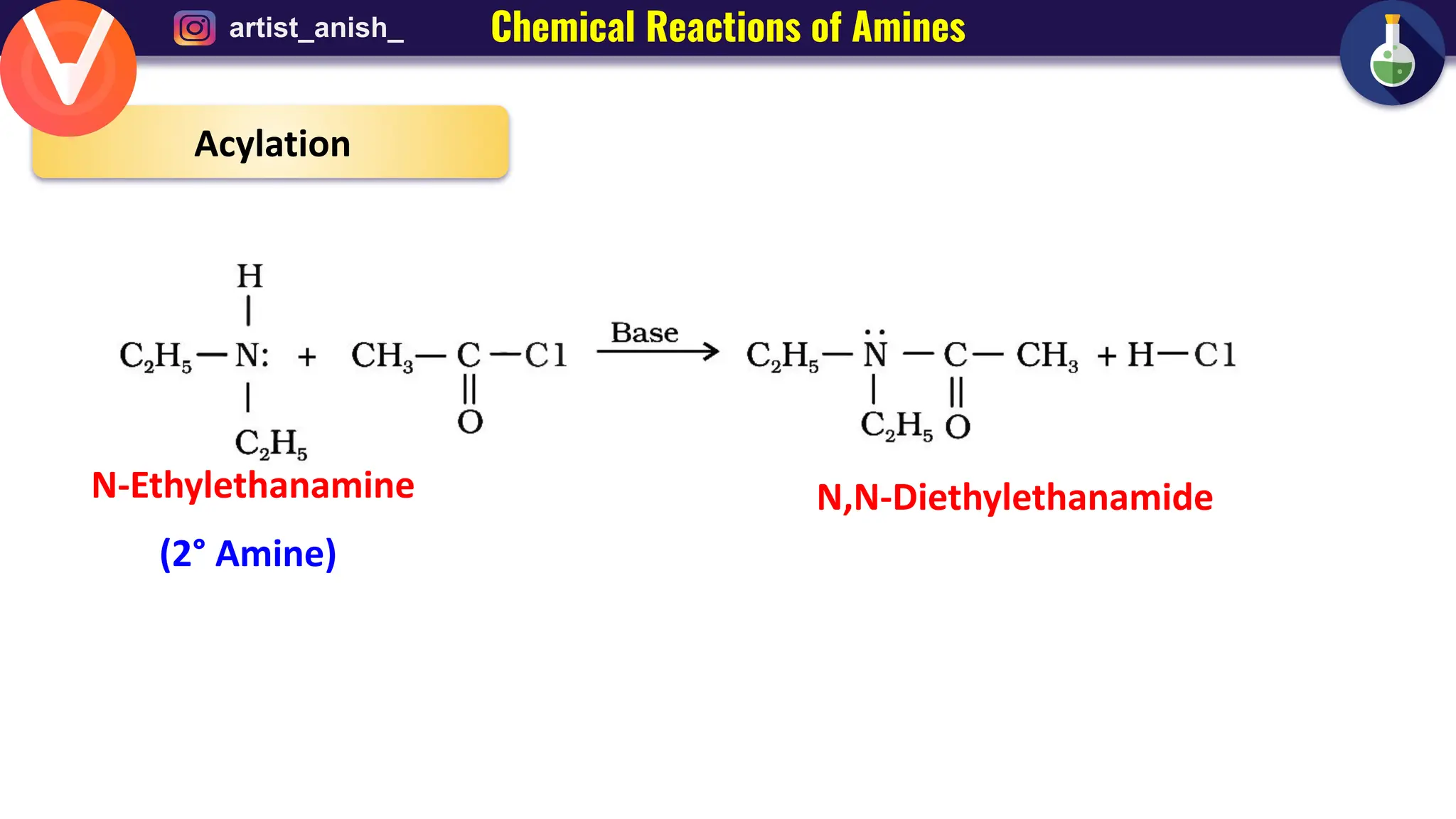 Amines short notes for class 12 chemistry | PDF