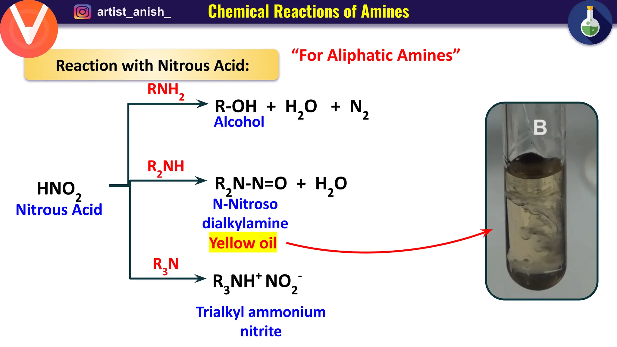 Amines short notes for class 12 chemistry | PDF