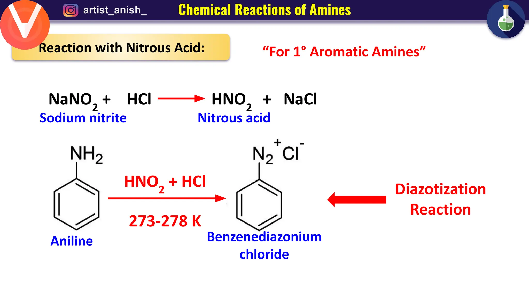 Amines short notes for class 12 chemistry | PDF