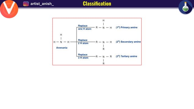 Amines short notes for class 12 chemistry | PDF
