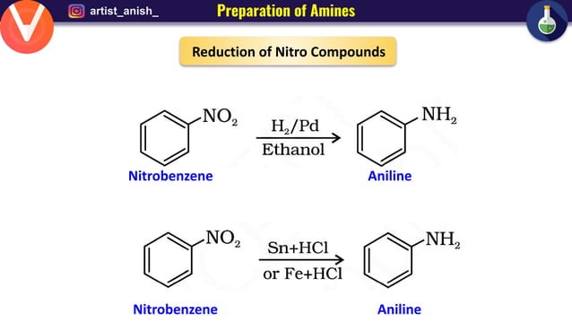 Amines short notes for class 12 chemistry | PDF