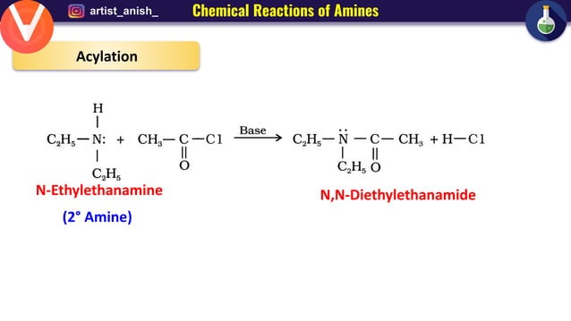Amines short notes for class 12 chemistry | PDF