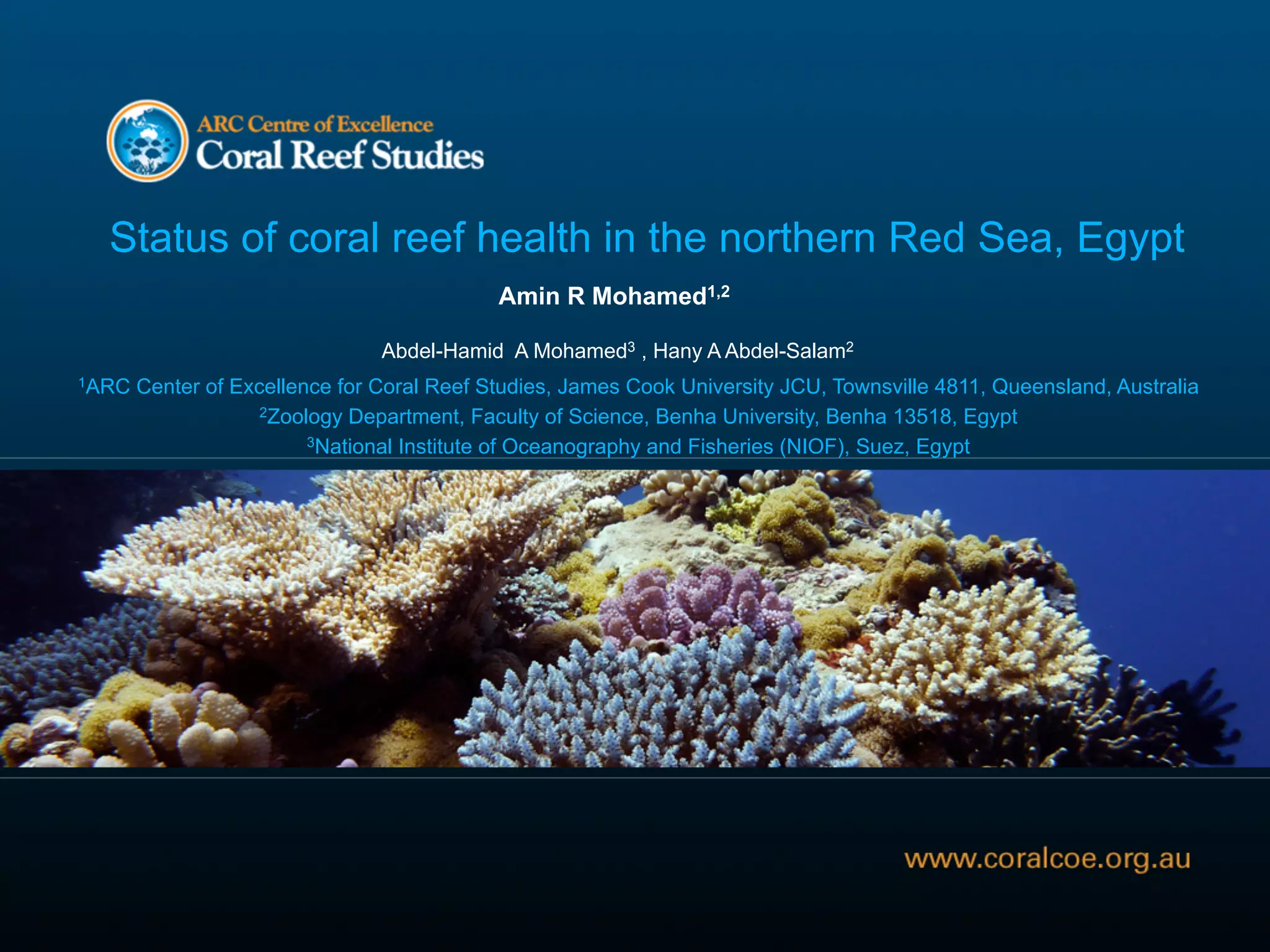 Coral diseases, coral bleaching and other health issues affecting Red ...