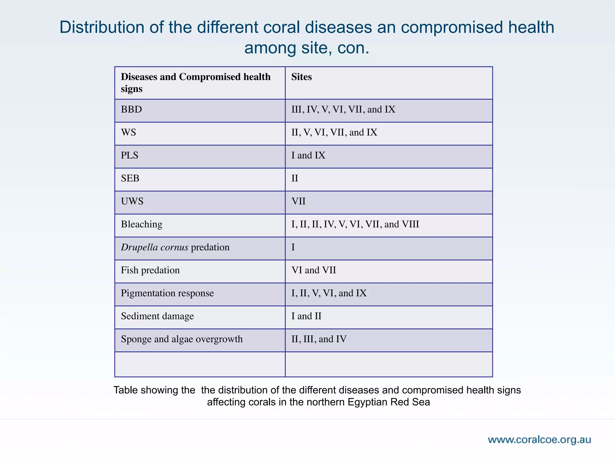 Coral diseases, coral bleaching and other health issues affecting Red ...