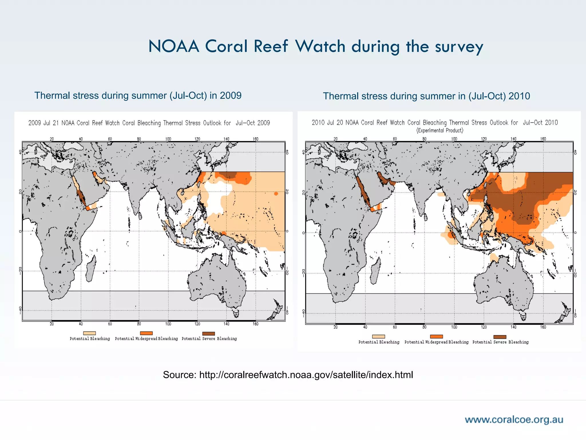 Coral diseases, coral bleaching and other health issues affecting Red ...