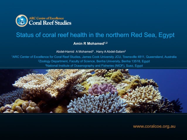 Coral diseases, coral bleaching and other health issues affecting Red ...
