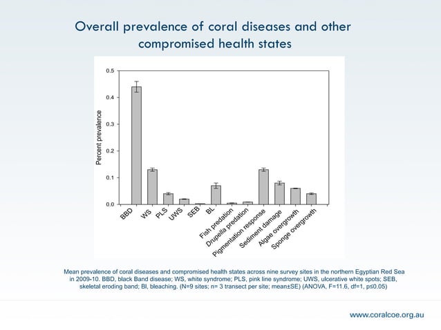 Coral diseases, coral bleaching and other health issues affecting Red ...