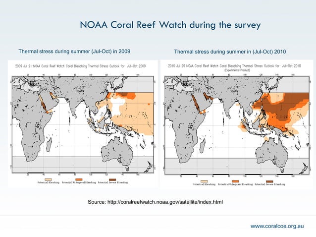 Coral diseases, coral bleaching and other health issues affecting Red ...