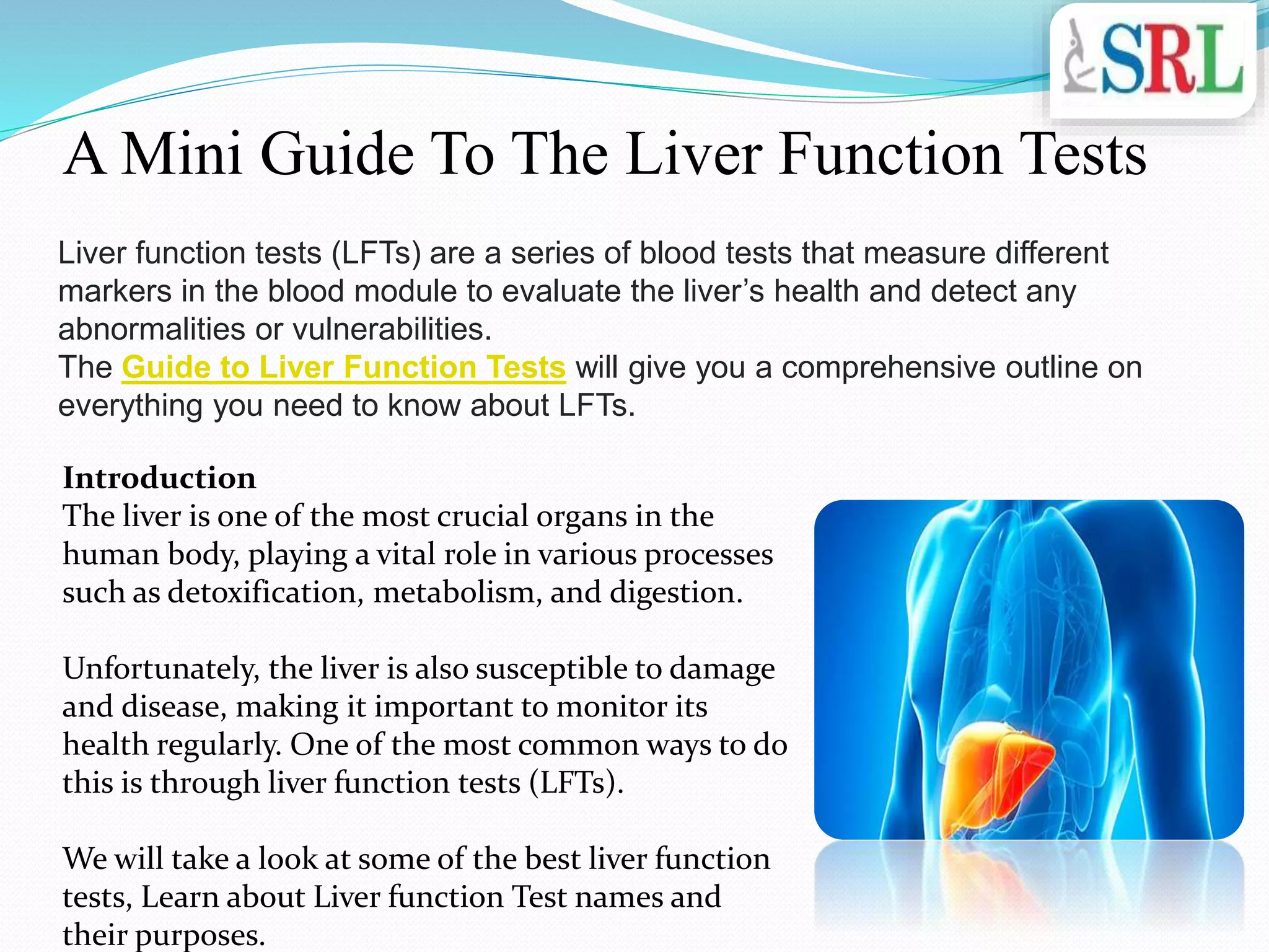 A Mini Guide To The Liver Function Tests | PPT