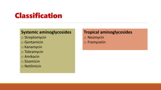 Aminigycosides | PPT