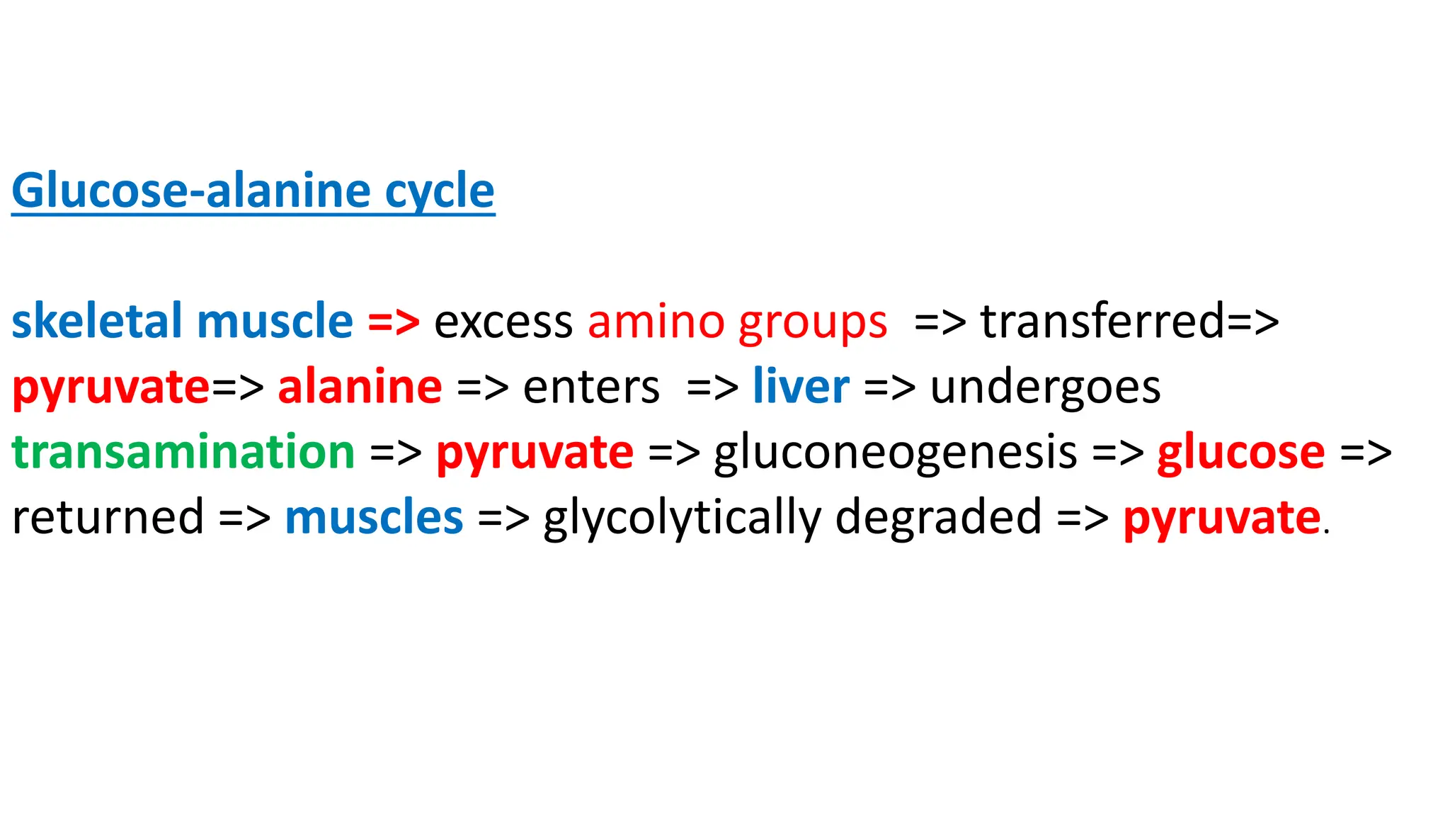 Amino-acid-catabolism.pptx