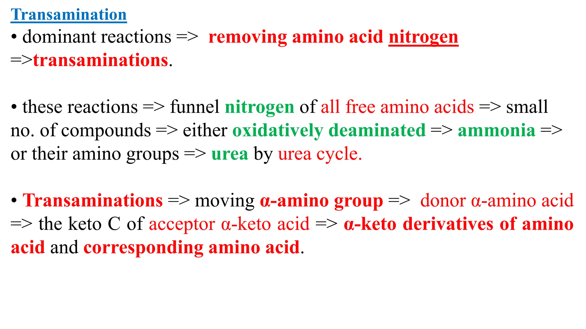 Amino-acid-catabolism.pptx