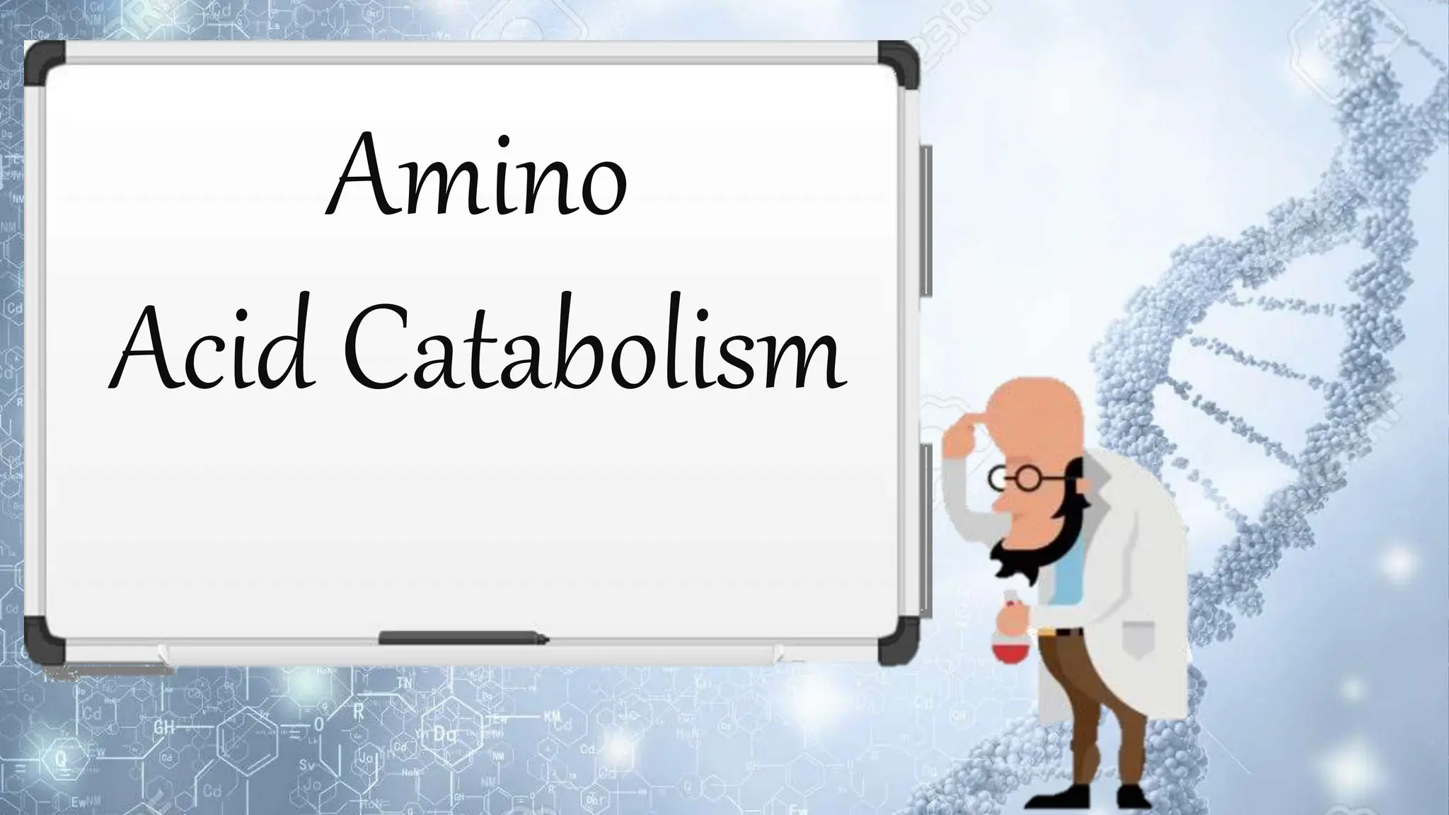 Amino-acid-catabolism(transamination.pptx