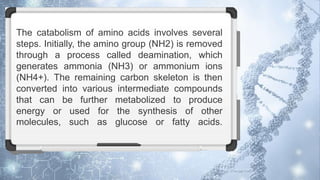 Amino-acid-catabolism(transamination.pptx