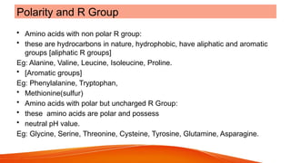 AMINO-ACID-GROUP-7.pptxxxxxxxxxxxxxxxxxx | PPT