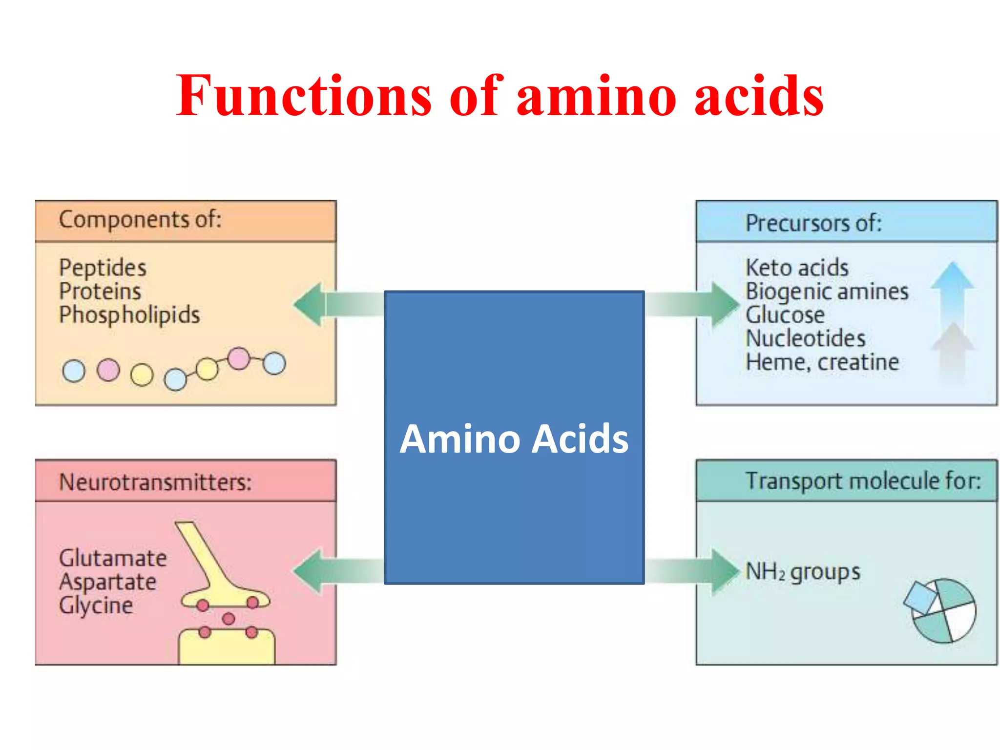 Amino-acids-and-protein..ppt