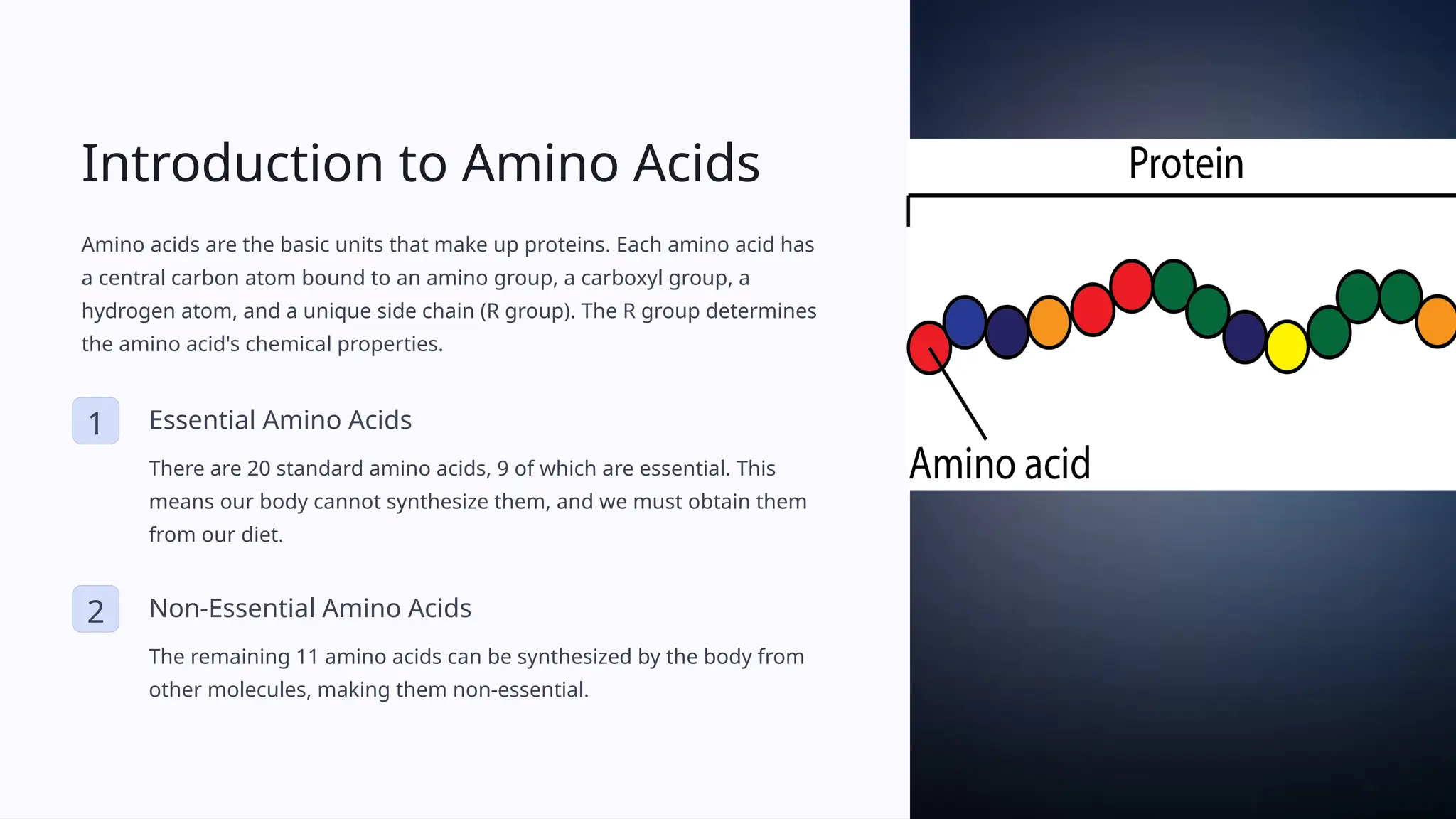 Amino-Acids-Peptides-and-Proteins-Structure-and-Classification.pptx