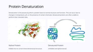 Amino-Acids-Peptides-and-Proteins-Structure-and-Classification.pptx