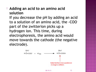 Amino acids | PPT